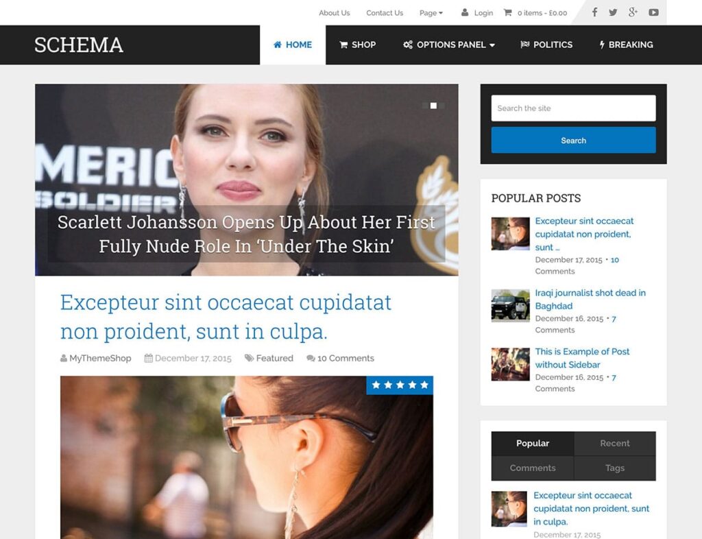 10 Best SEO Friendly WordPress Themes 2020 – Rokin