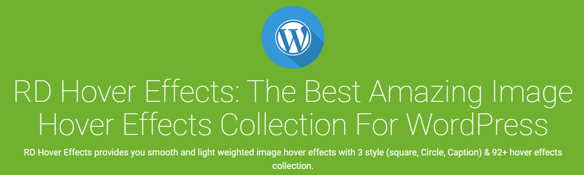 8 best WordPress Image Hover Plugins – Rokin